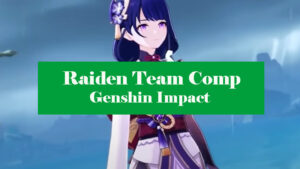 Best Raiden Shogun Team Comp Genshin Impact - Zathong