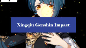 Best Xingqiu Build: Weapons, Artifacts [Genshin Impact] - Zathong